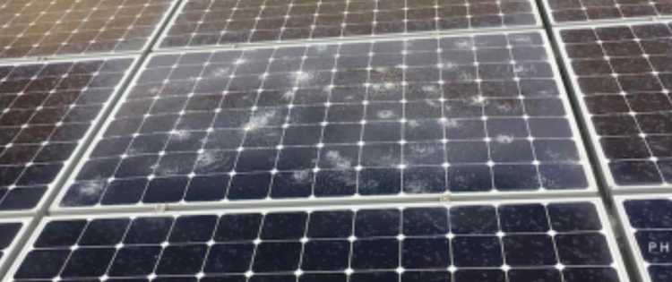 SolarNets - Nylon Netting to Protect Solar Panels