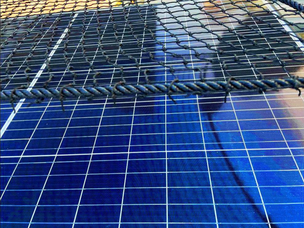 Nylon Nets to Protect Solar Panels